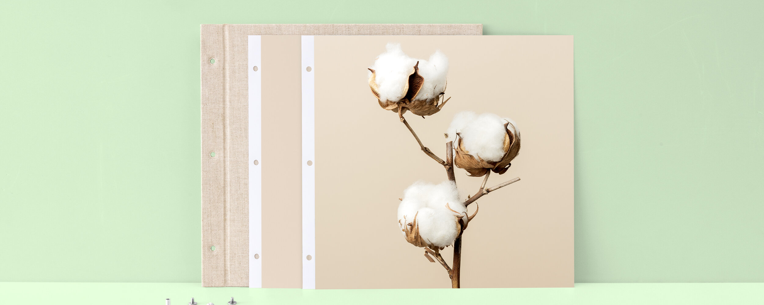 Professionel portfolio Skrue Post Binder Fotoalbum