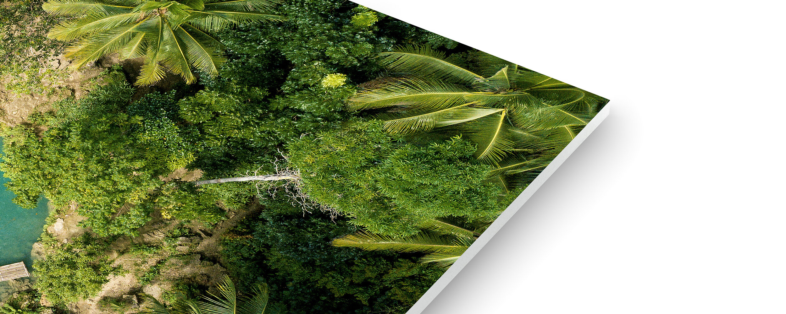 Tableau PVC - matériau premium imperméable et durable